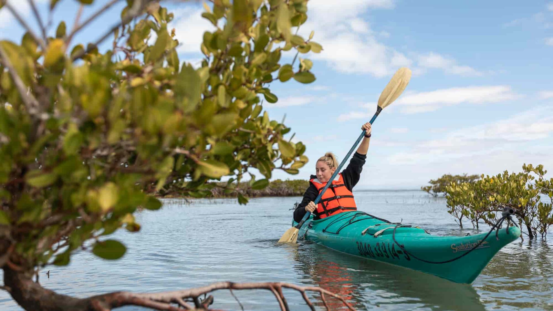 Whale Watching In Baja: Species, Seasons, And The Best Spots | Baja ...